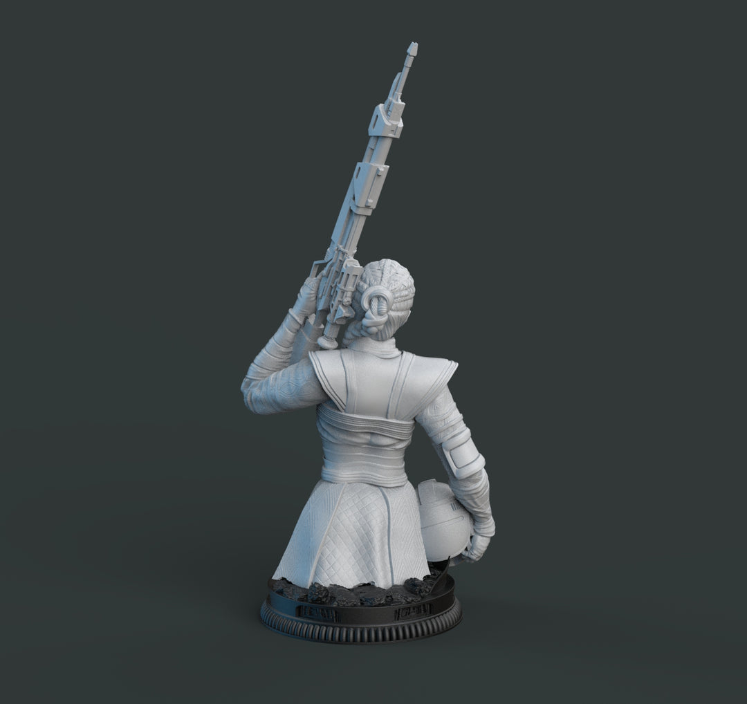 H076 - Movie Character design, The SW Fennec Bust Statue design, STL 3 ...