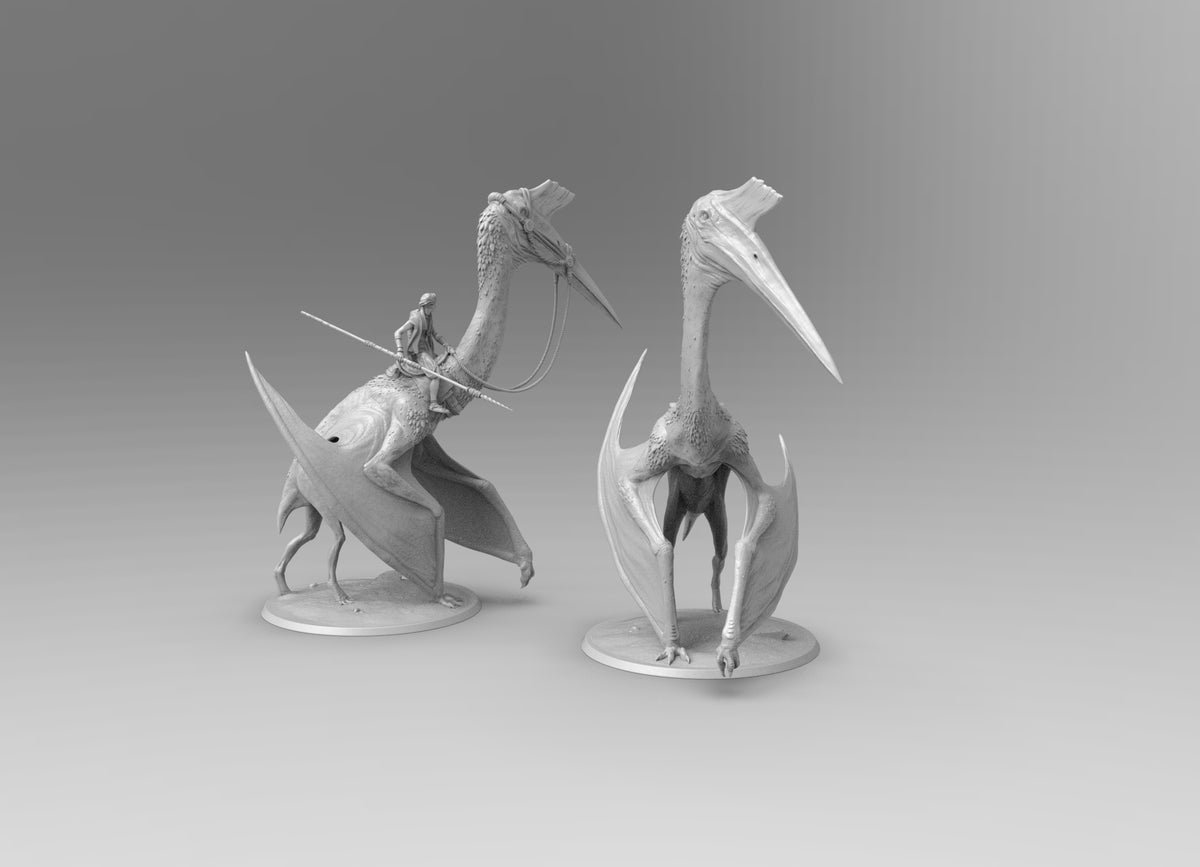A252 - Legendary creature design, The Quetzal Bird with rider, STL 3D ...